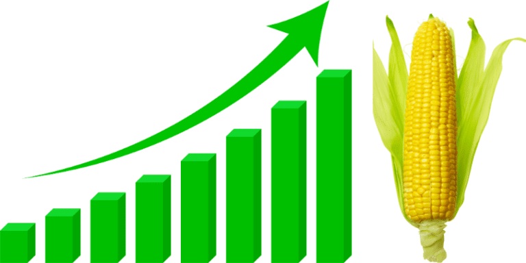 Biodegradable Corn Starch Packaging