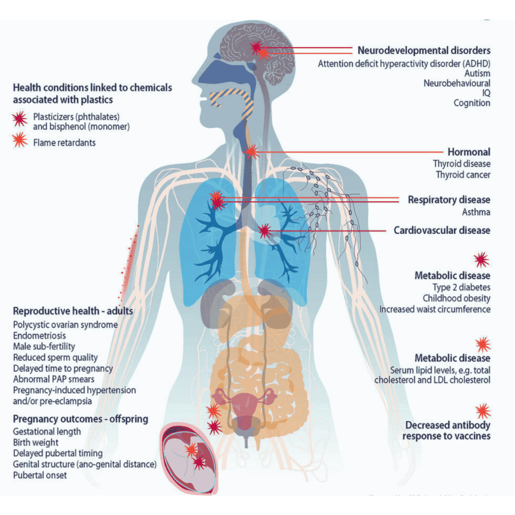 Addressing Plastic Pollution and Its Deadly Impacts