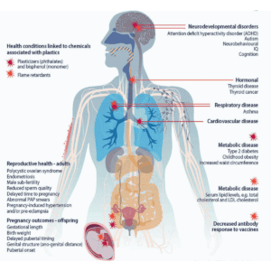 Addressing Plastic Pollution and Its Deadly Impacts