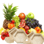 Mycelium Packaging Material – Nature’s Gift for Sustainable Packaging