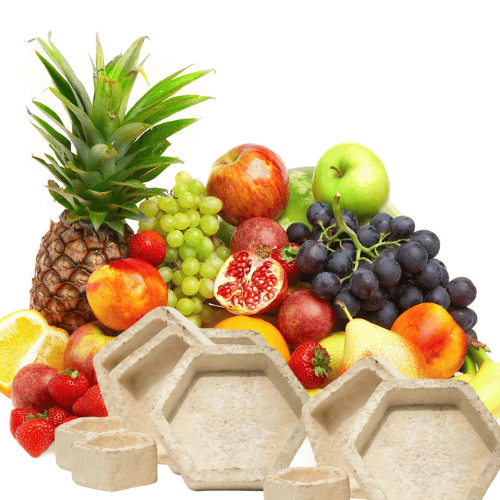 Mycelium Packaging Material – Nature’s Gift for Sustainable Packaging