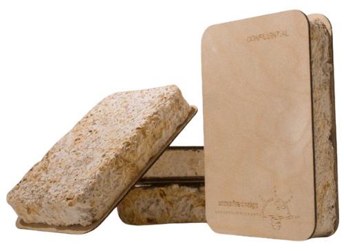 Mycelium Packaging Material – Nature’s Gift for Sustainable Packaging