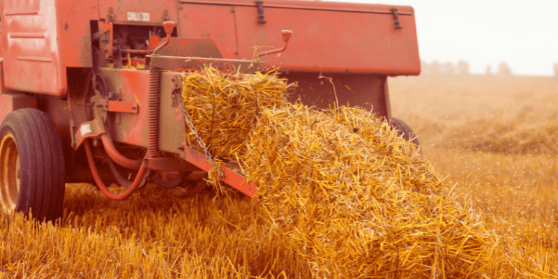 The Rise of Wheat Straw Plastic in Sustainable Products