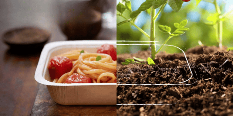 51 Best Sustainable Packaging Examples